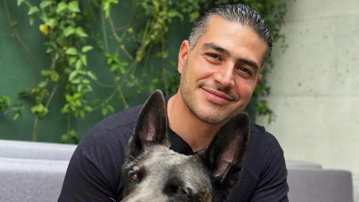 Omar García Harfuch Adelante En Las Preferencias En La Cdmx